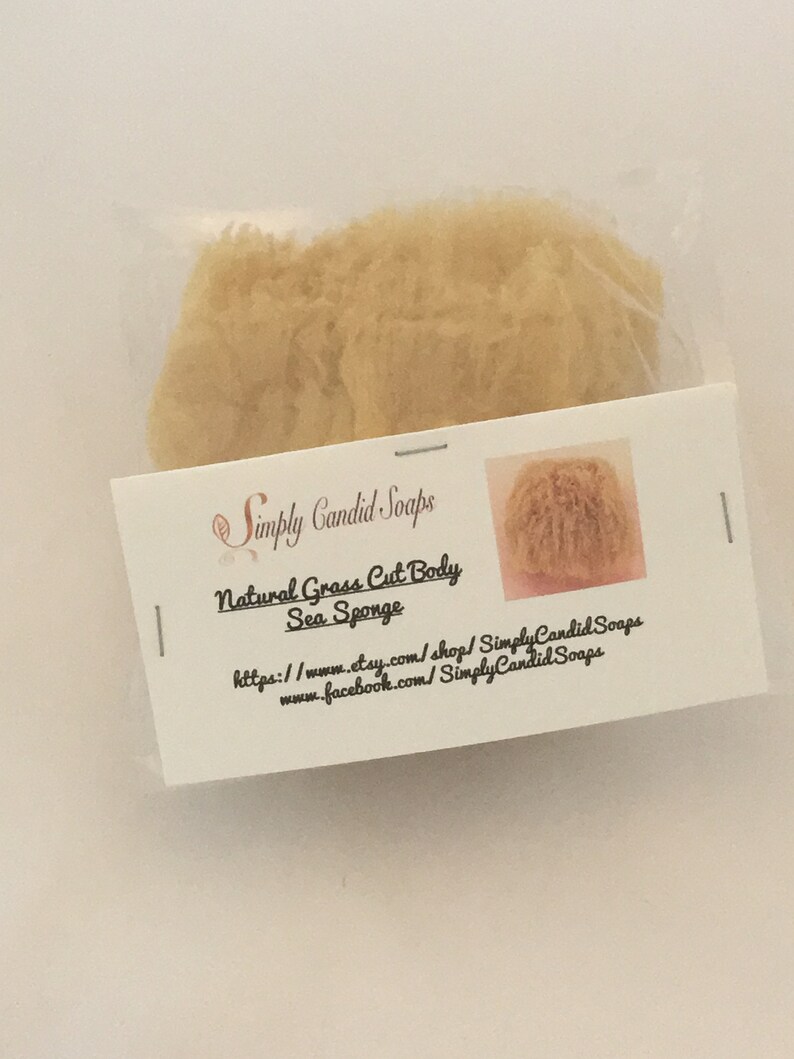 Natural Facial Sea Sponge Body Sea Sponge Wool Sponge Silk | Etsy