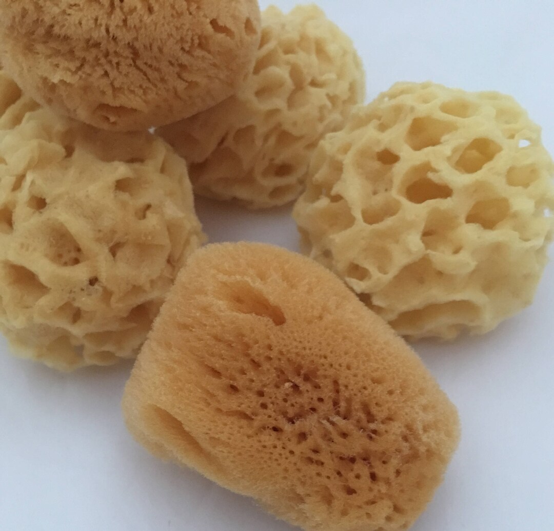 Natural Facial Sea Sponge Body Sea Sponge Wool Sponge Silk - Etsy