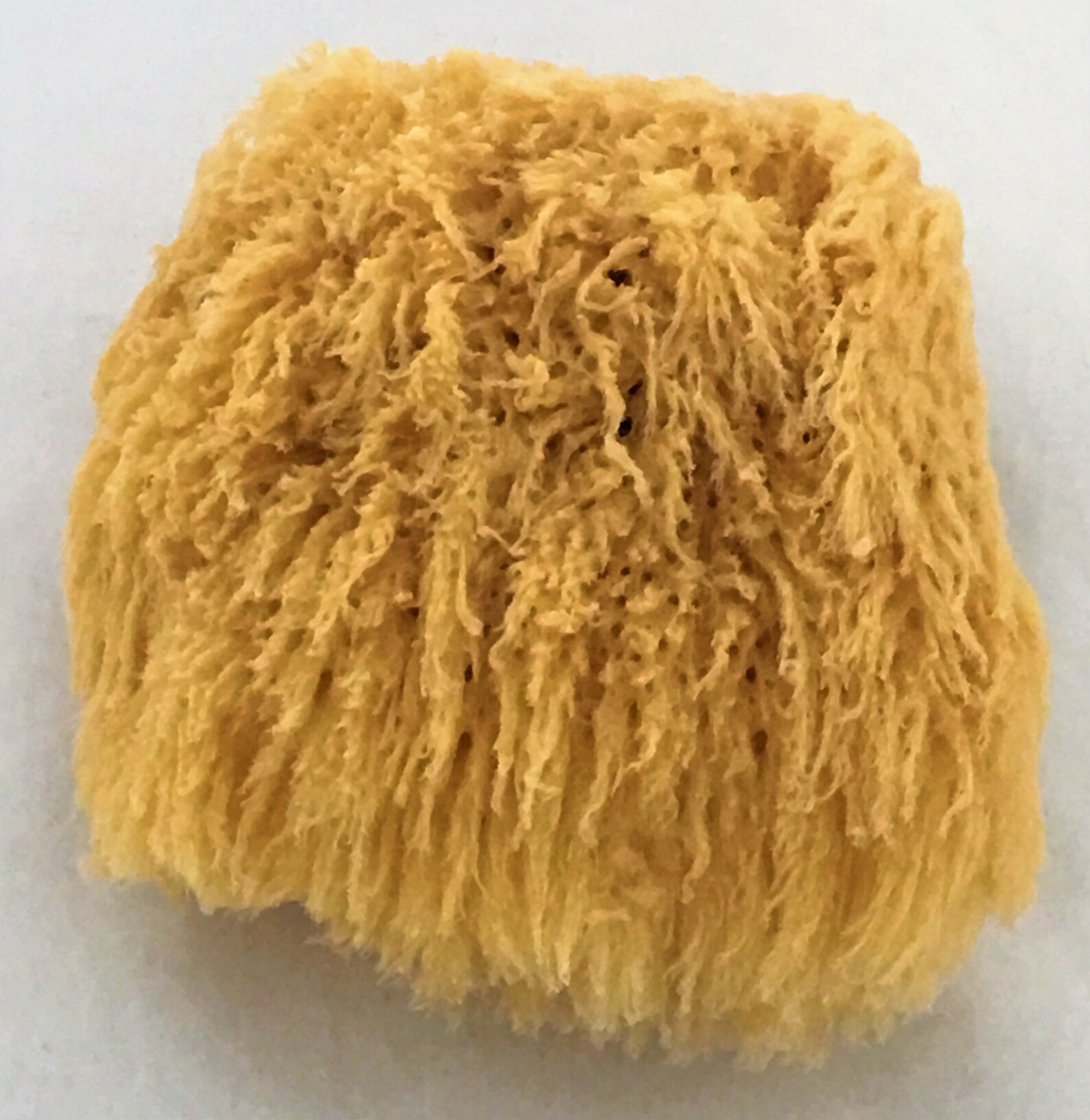 Natural Facial Sea Sponge Body Sea Sponge Wool Sponge Silk | Etsy