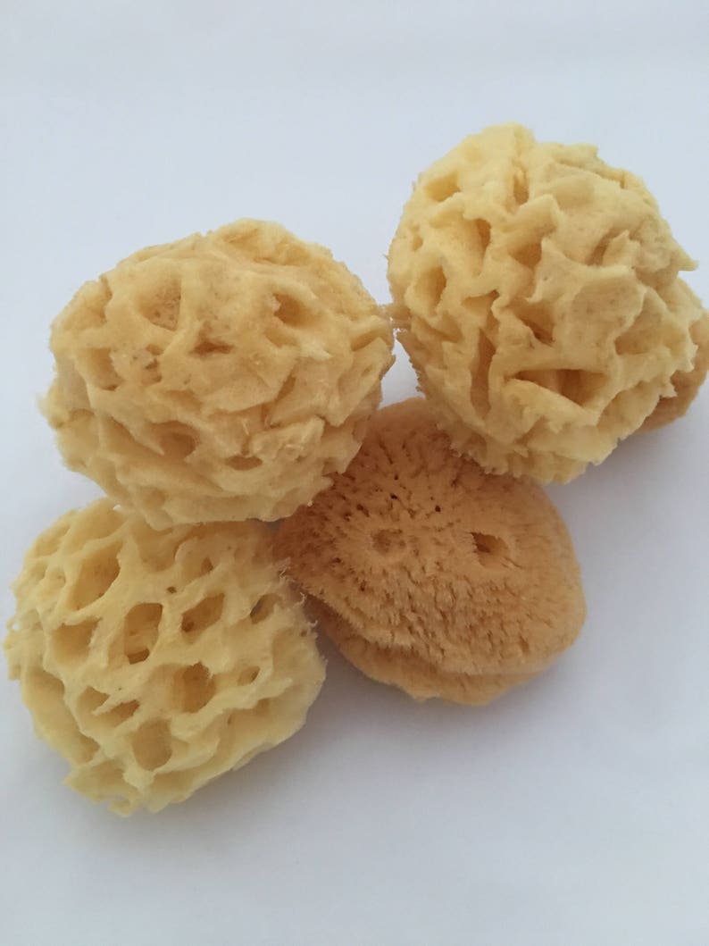 Natural Facial Sea Sponge Body Sea Sponge Wool Sponge Silk - Etsy