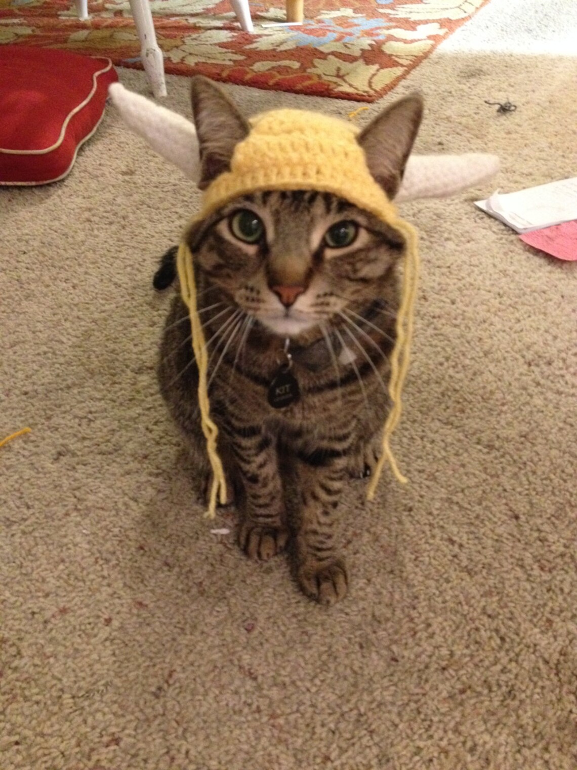 Viking Cat Hat - Etsy