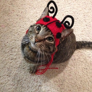 Ladybug Cat Hat Costume - Etsy