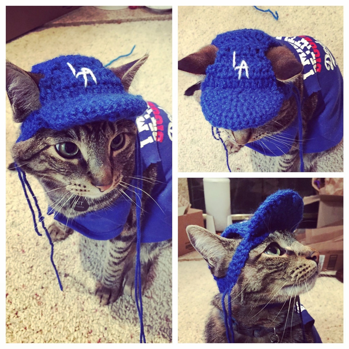Baseball Cat Cap (sports Fan Cap) - Etsy