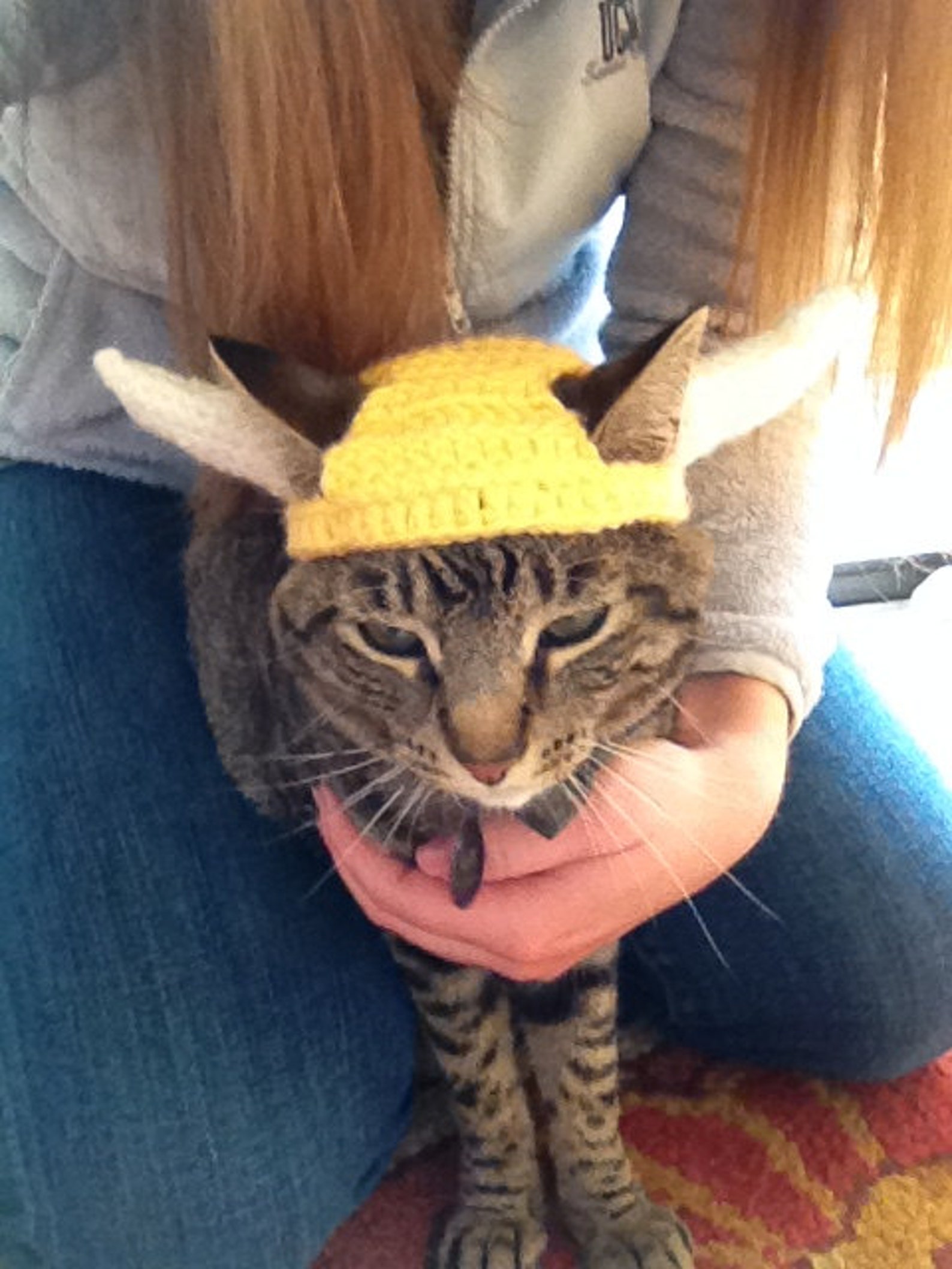 Viking Cat Hat - Etsy