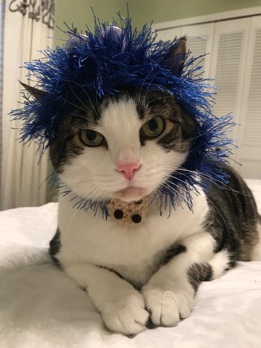 Blue Character Cat Hat - Etsy