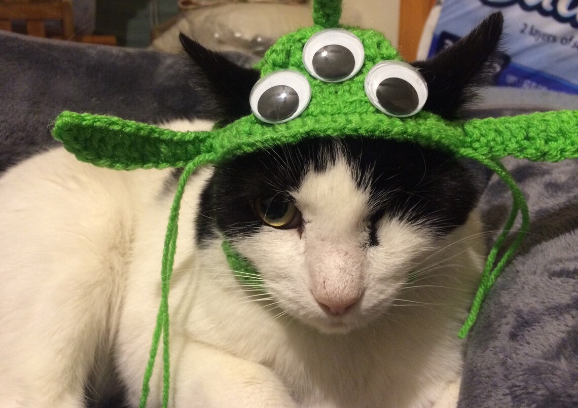Alien Cat Costume - Etsy