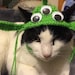 Alien Cat Costume - Etsy