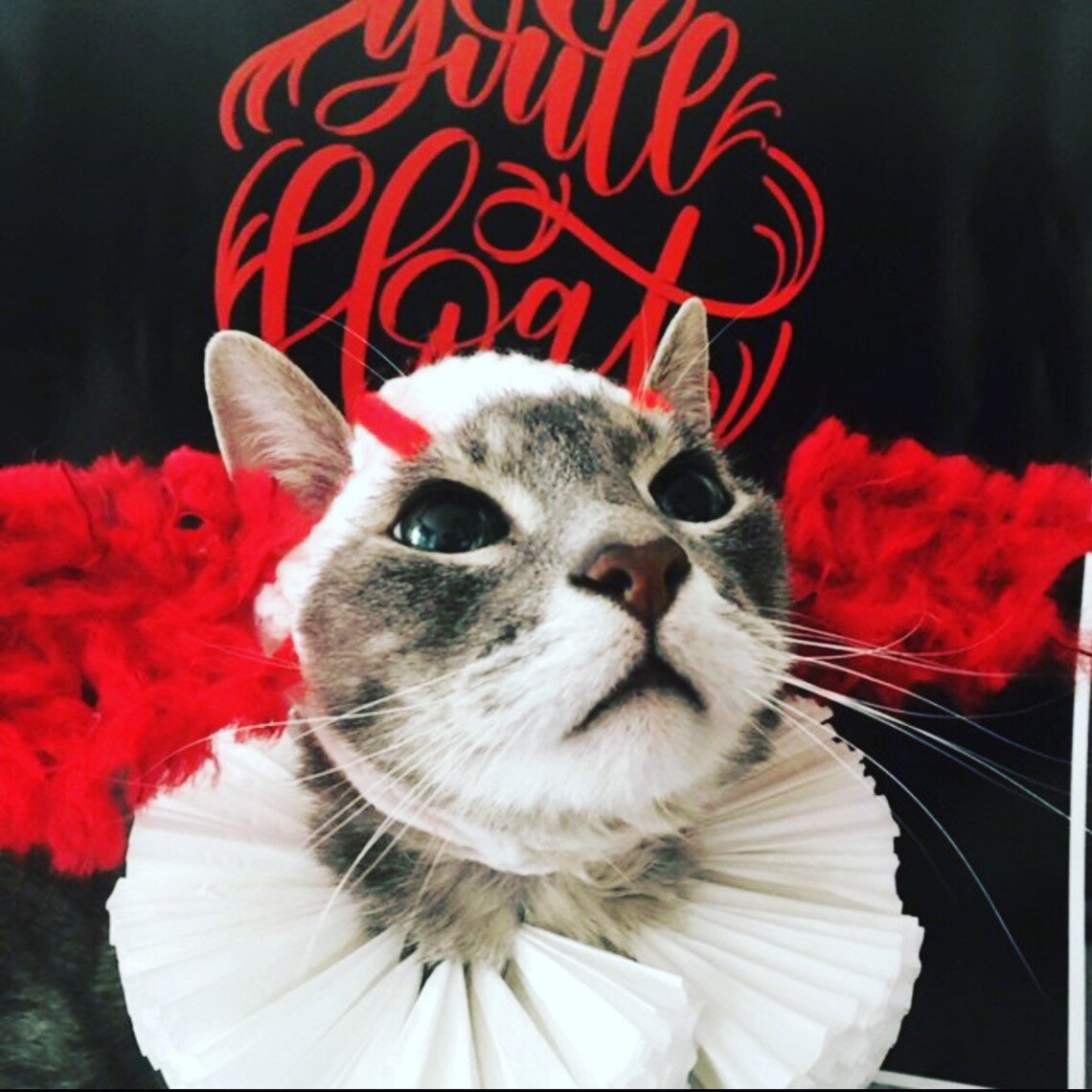 Scary Clown Cat Hat Costume - Etsy 日本