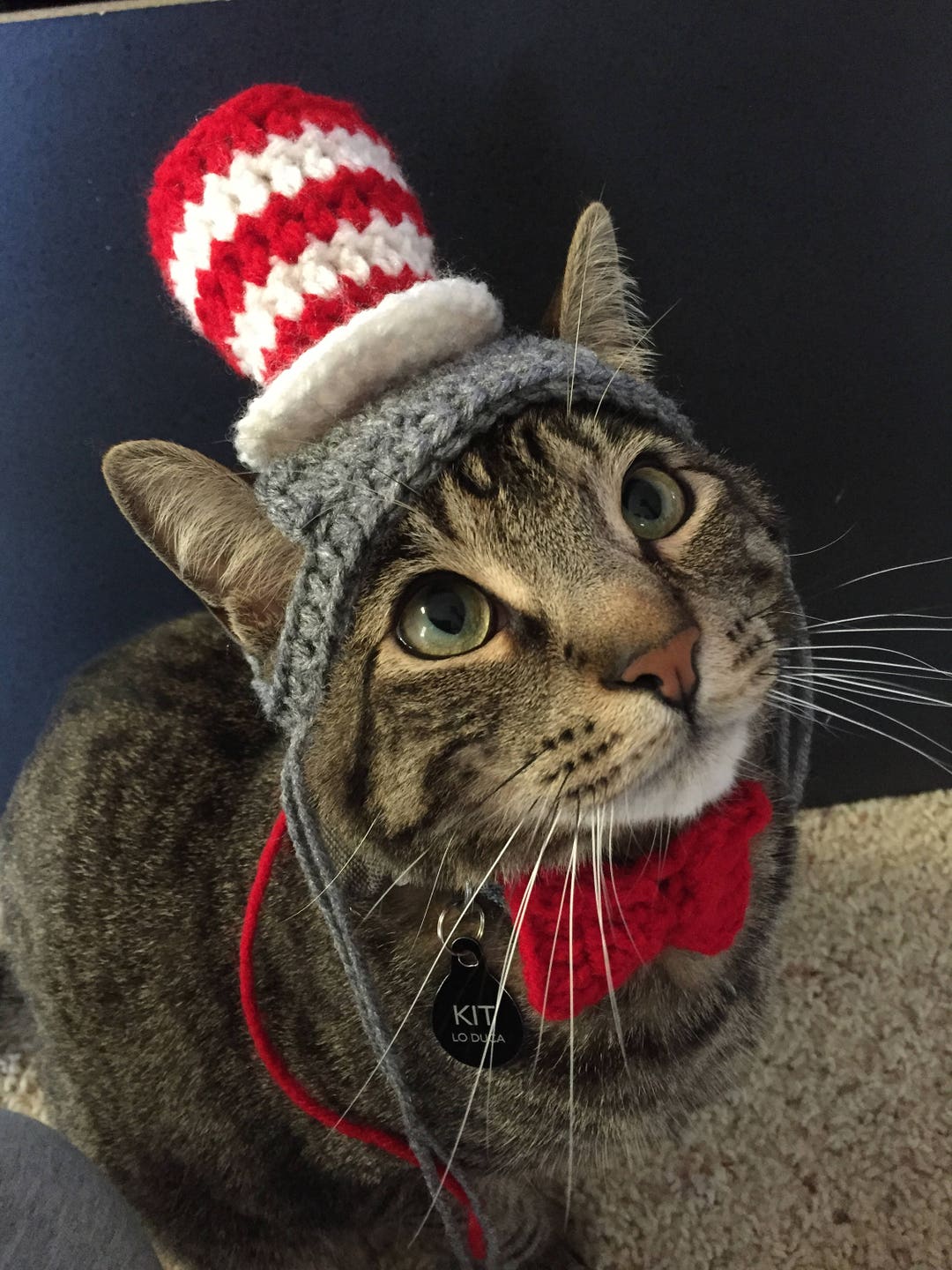 Top Hat Cat Hat - Etsy