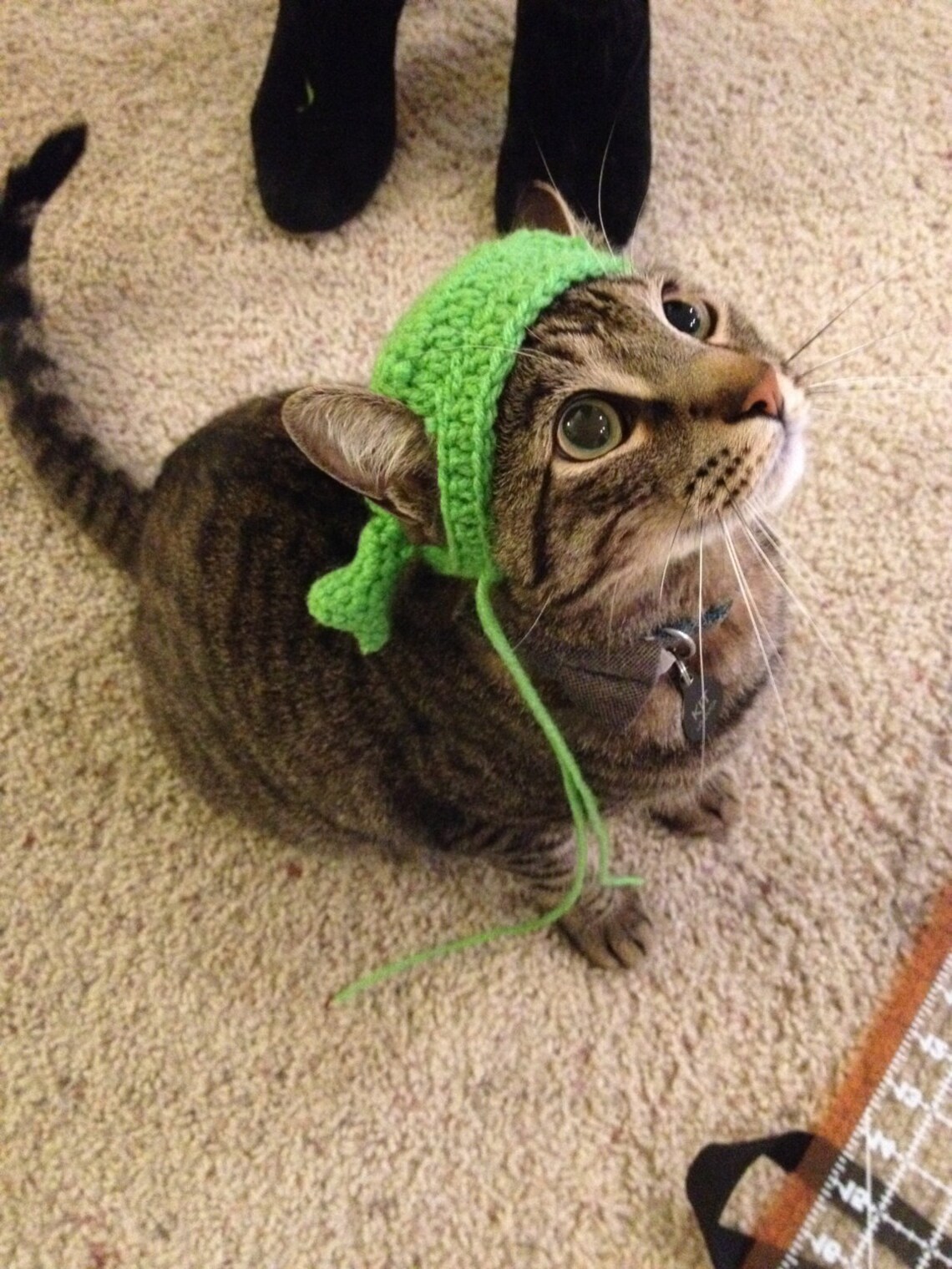 Ogre Cat Hat - Etsy