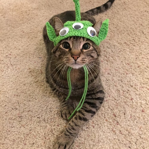 Wizard Costume for Cat Wizard Hat for Cat Wizard Pet Costume - Etsy