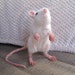 Needle Felted Mouse 3 Meet the Life Size Mice : Made to - Etsy Canada
