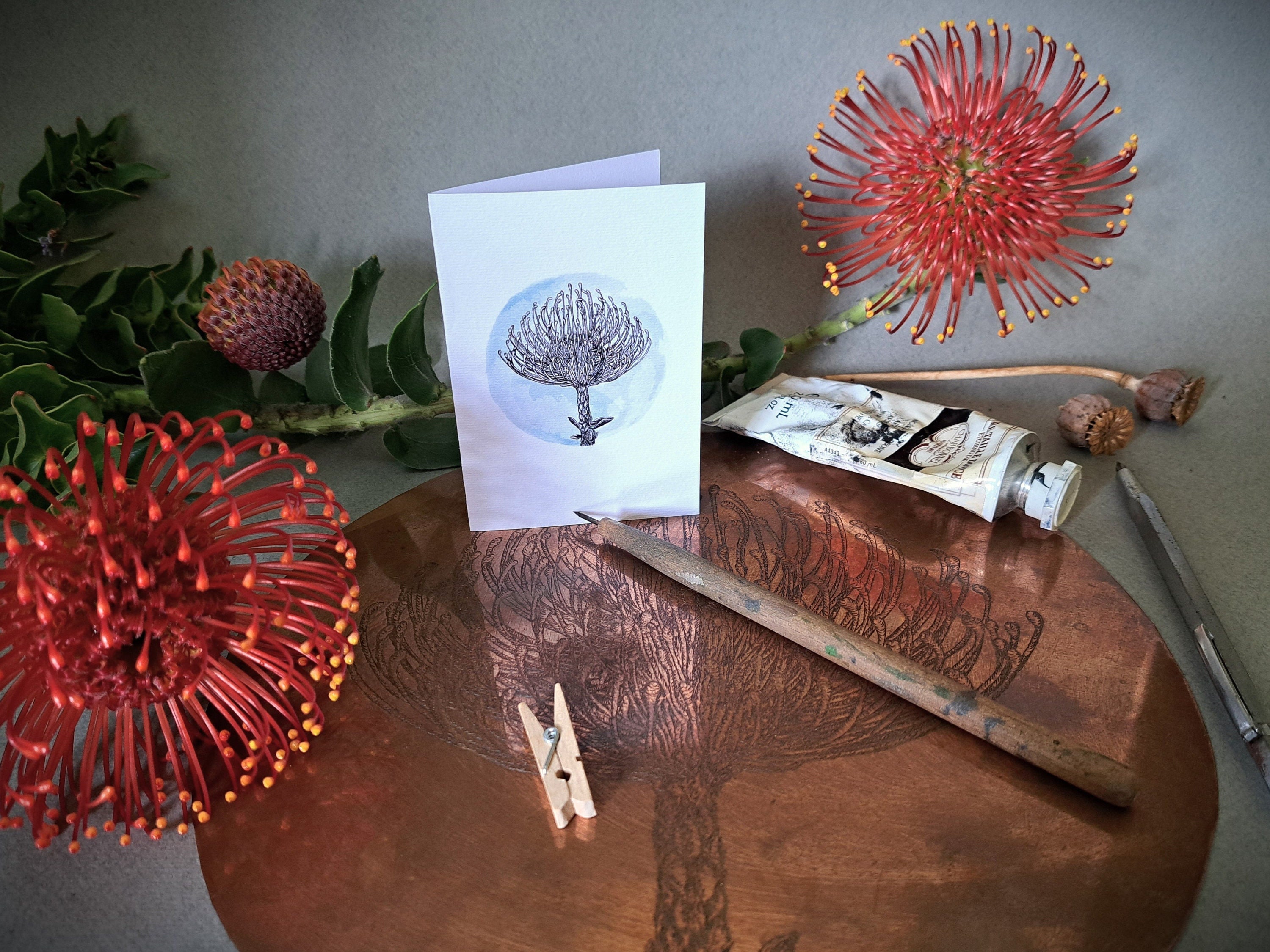 Botanical Printable Cards With Pincushion, Aloe, Sunburst Aenonium, and ...