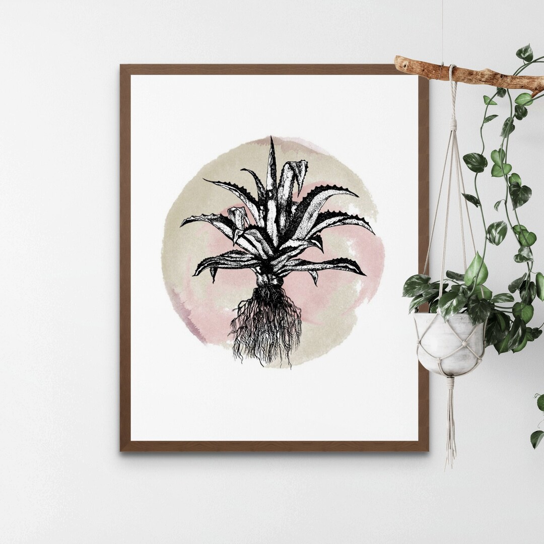 Aloe Art Print is an INSTANT DOWNLOAD. South African Succulent - Etsy