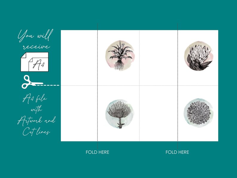 Botanical Printable Cards With Pincushion, Aloe, Sunburst Aenonium, and ...