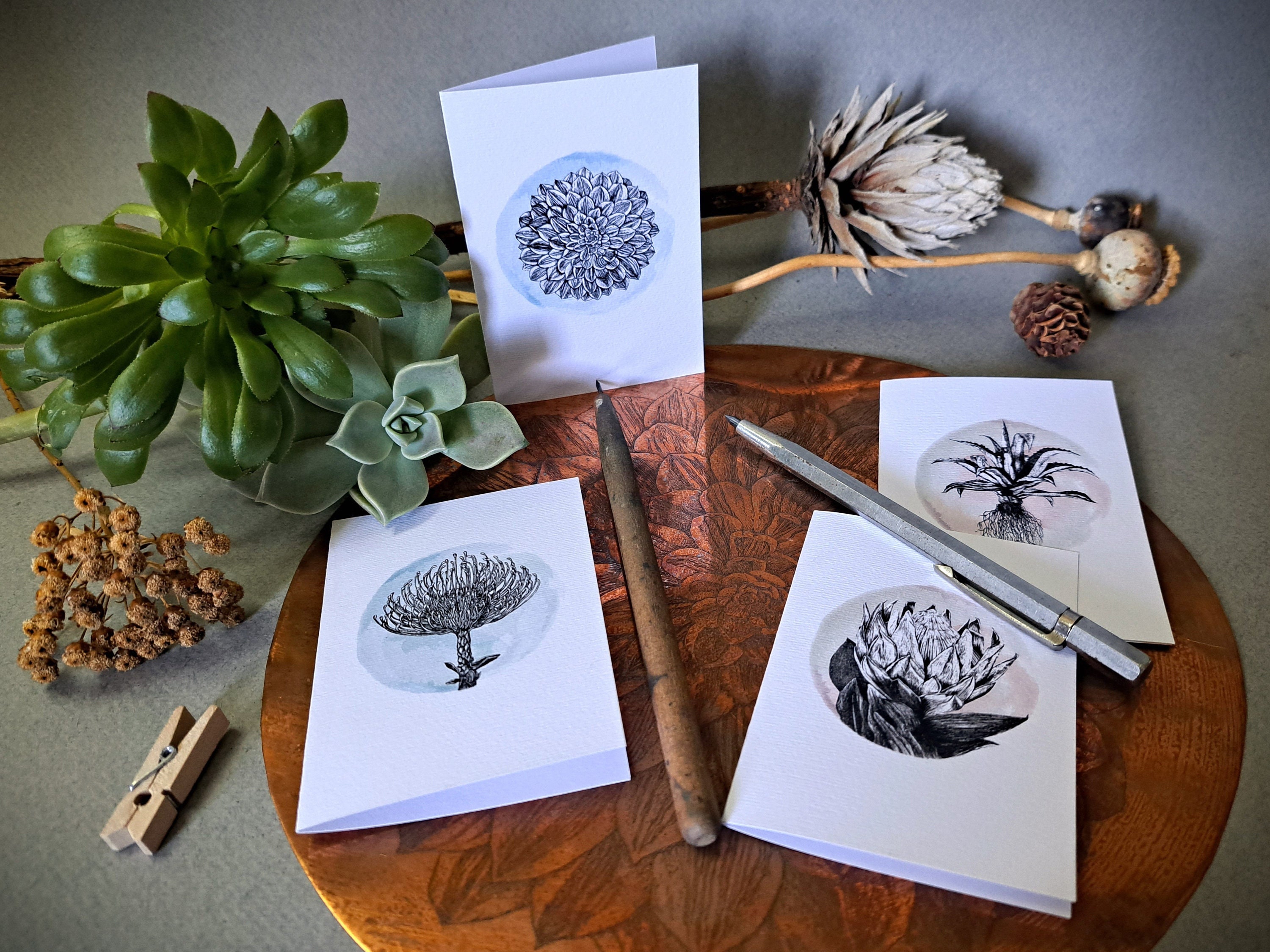 Botanical Printable Cards With Pincushion, Aloe, Sunburst Aenonium, and ...