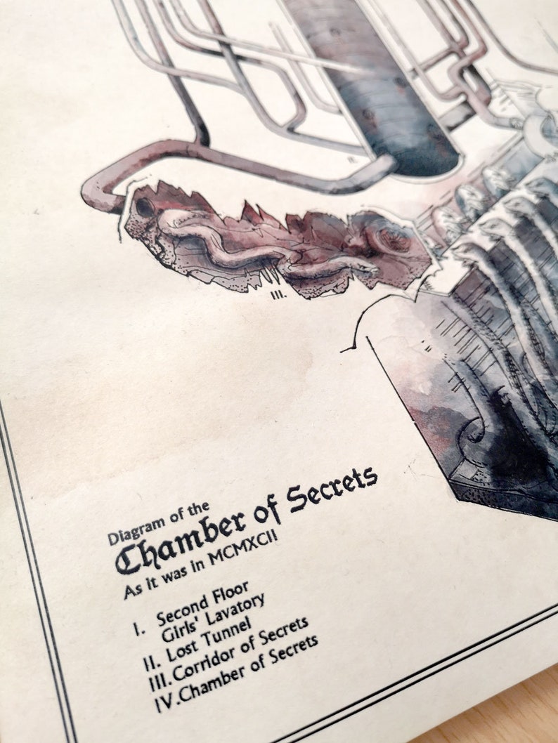 Chamber Secrets Illustration Map Poster by Kiko Sánchez | Etsy