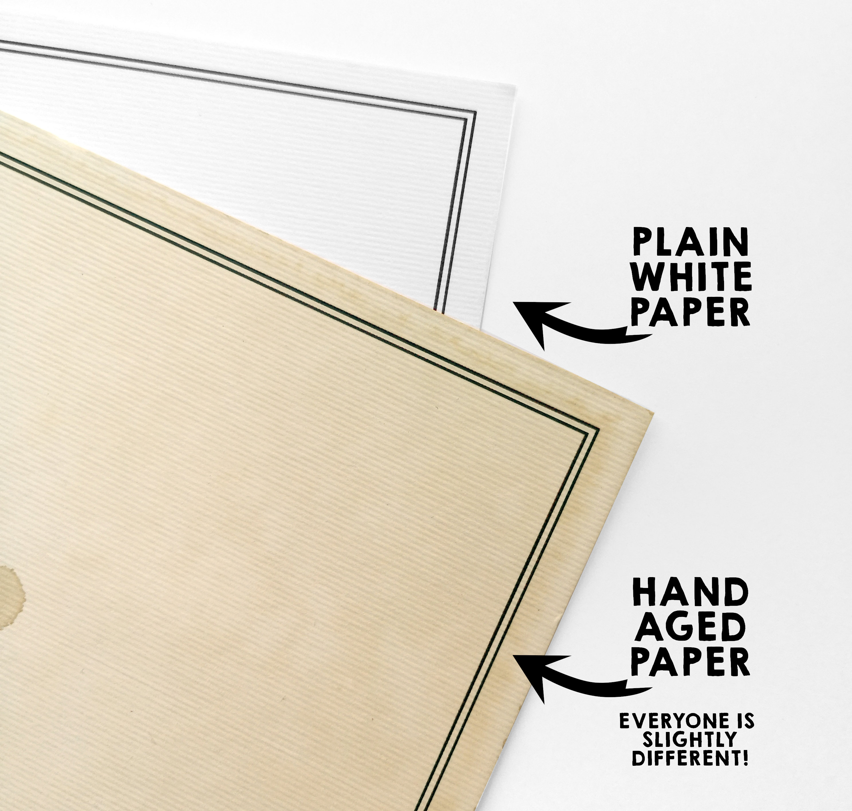 Ministry of Magic Floorplan - Map - Original Illustration Reproduction ...