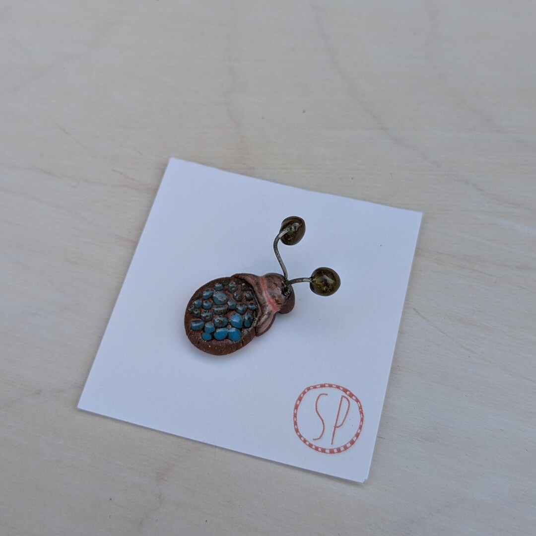 Bug Magnet - Rare Earth Magnet - Beetle Magnet - Insect Magnet - Fridge ...