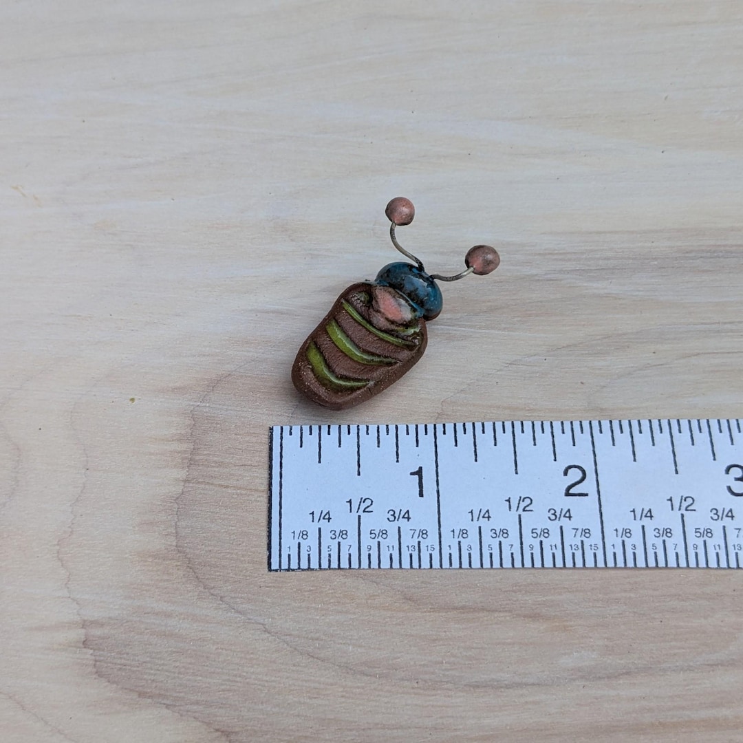 Bug Magnet - Rare Earth Magnet - Beetle Magnet - Insect Magnet - Fridge ...