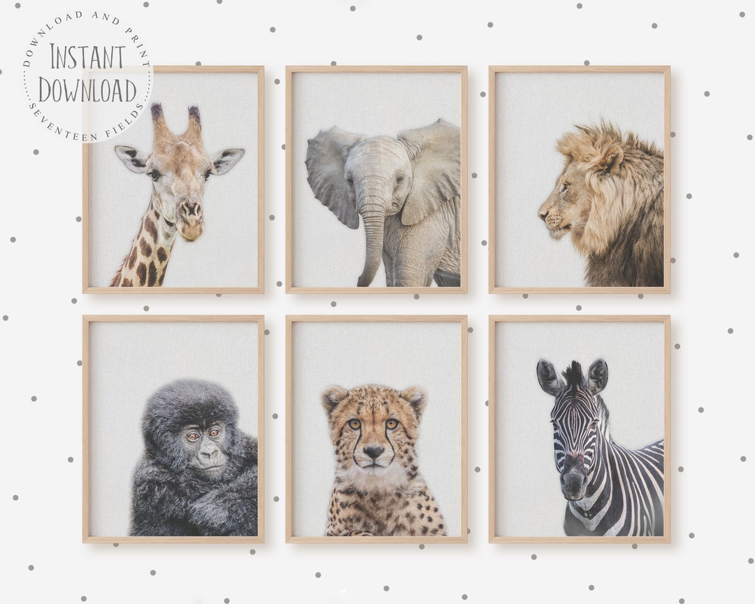 Safari Nursery Decor Wall Baby Art, Safari Animal Nursery Prints ...