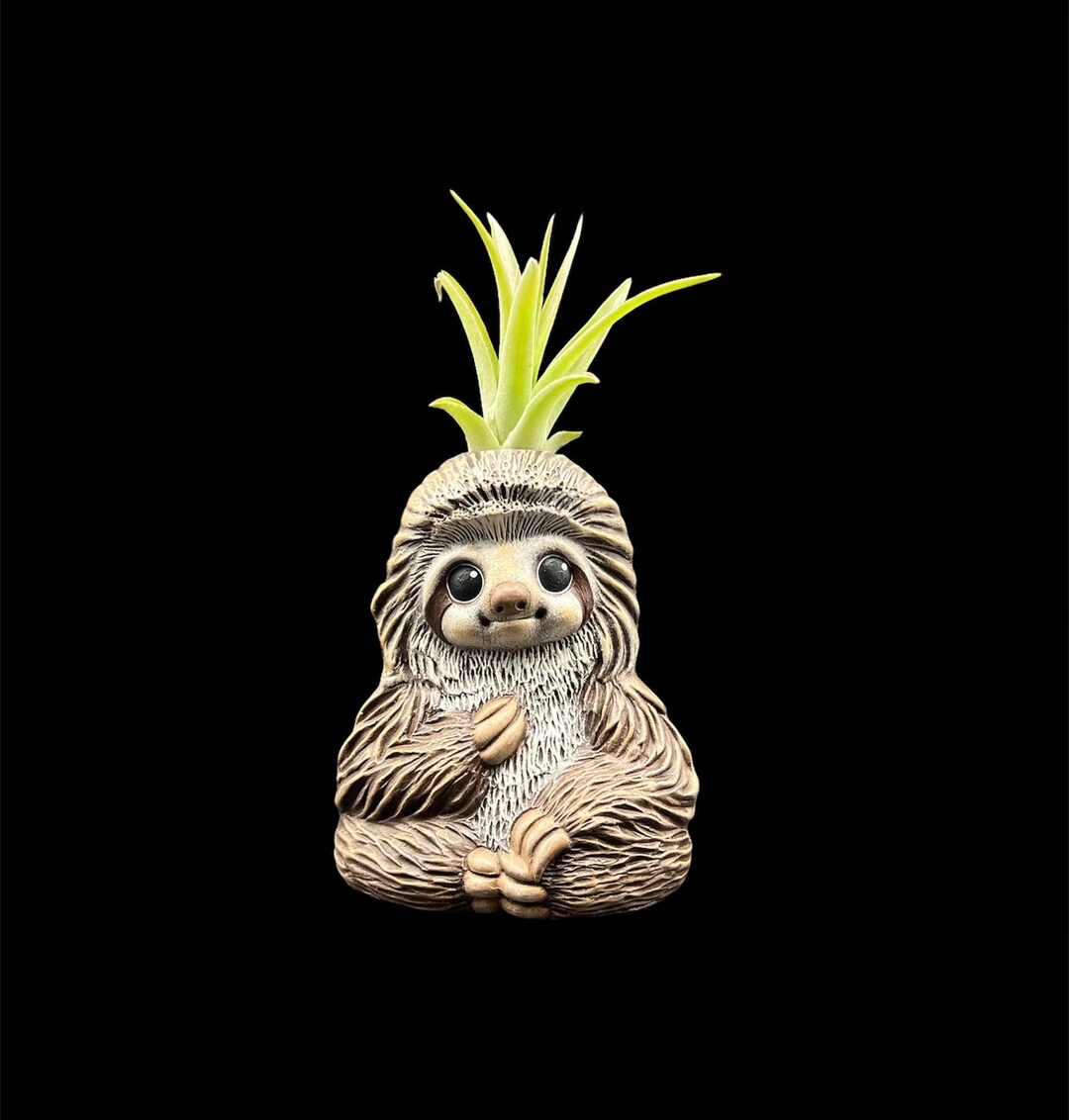 Hand-painted Ceramic Sloth Air Plant Holder - Etsy