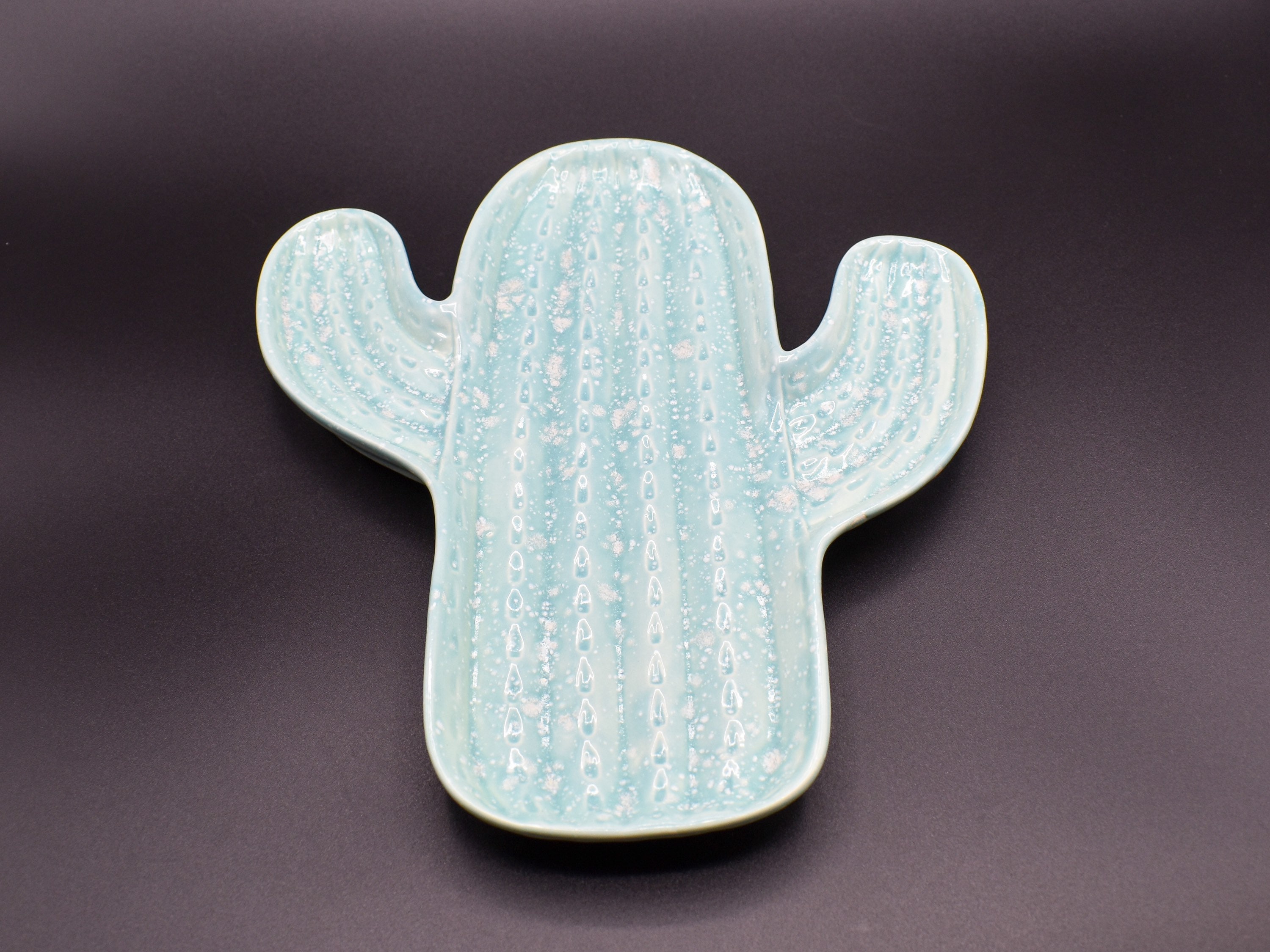 Ceramic Cactus Plate Seafoam Cactus Plate Cactus Dish | Etsy