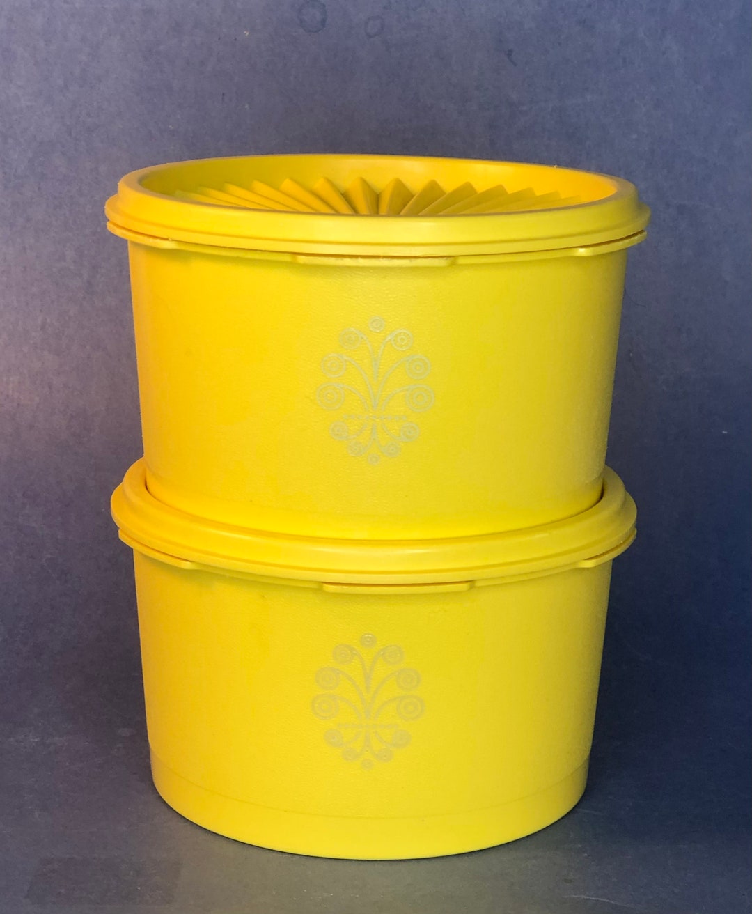 Vintage Tupperware Small Canister Set of Two - Etsy