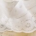 Fine Milky White Vintage Embroidered Anglaise Lace Flounce - Eyelets ...