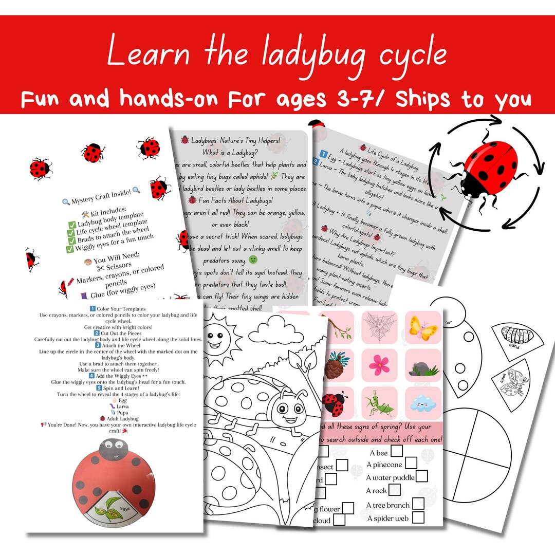 Ladybug Life Cycle Craft Kit for Kids Fun Hands-on Learning Activity ...