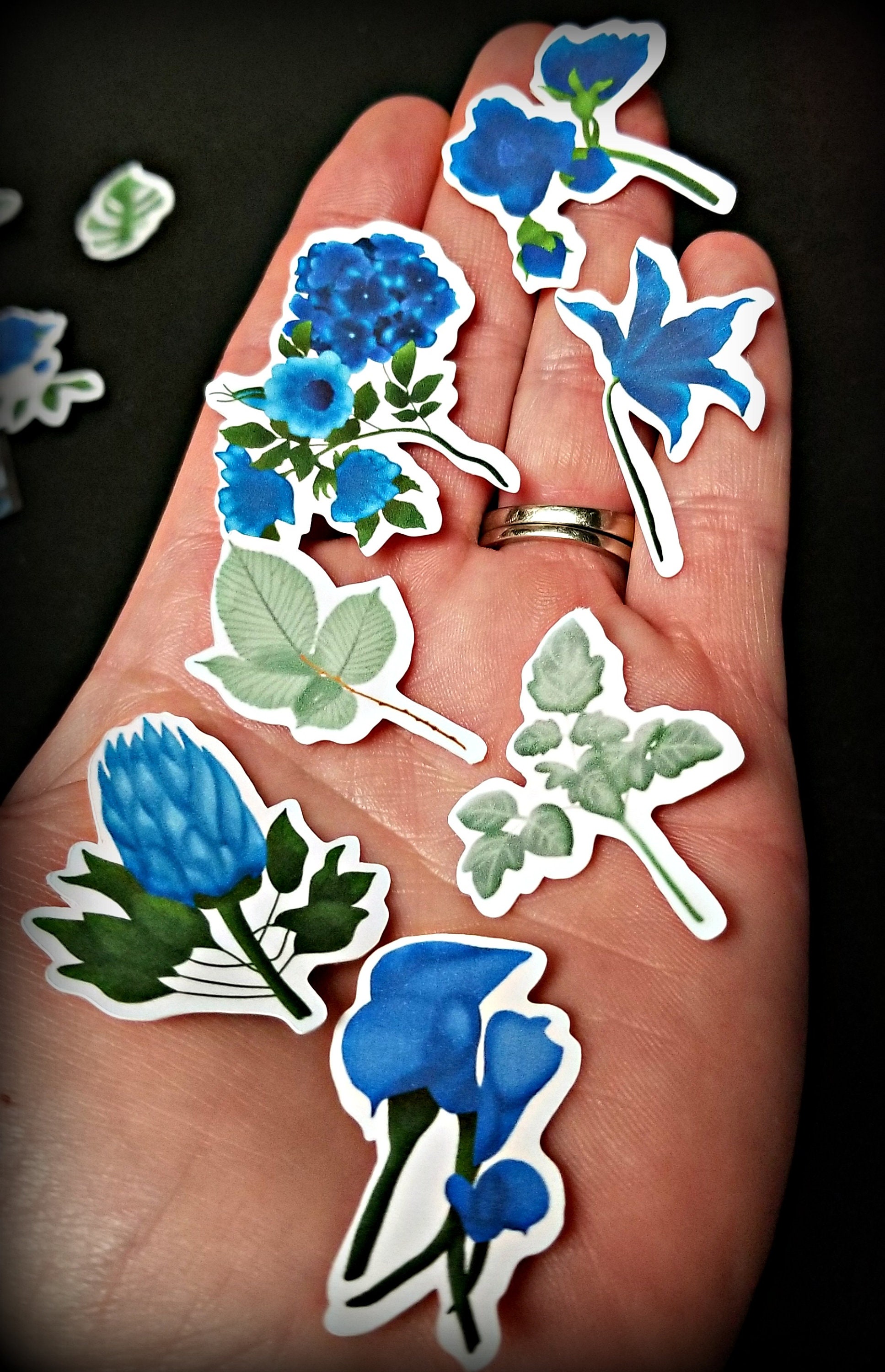 Stickers floral botanical botany travelers notebook | Etsy