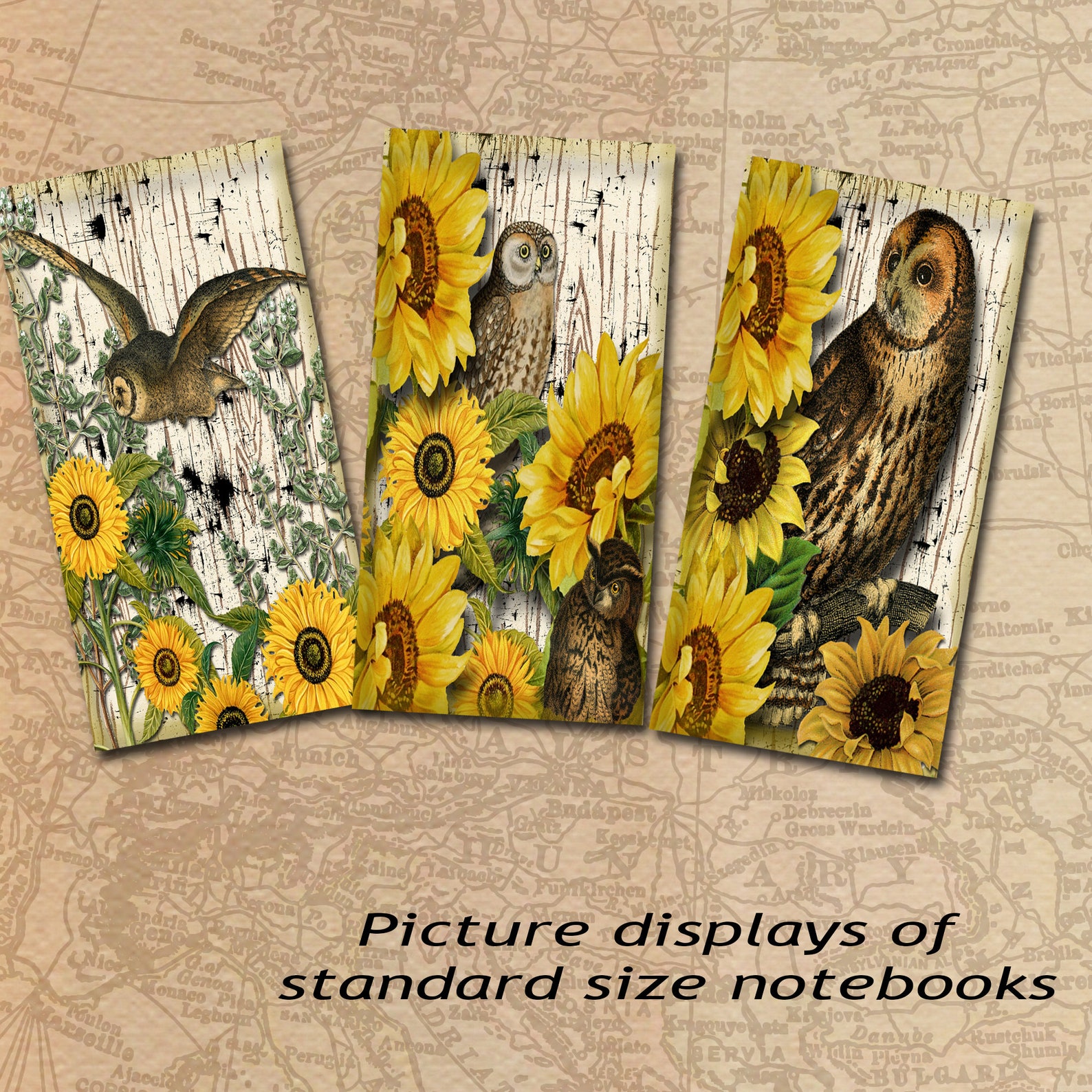 Travelers Notebook Inserts TN Refill Notebooks Paperdori - Etsy