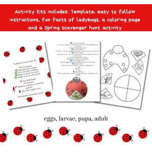Ladybug Life Cycle Craft Kit for Kids Fun Hands-on Learning Activity ...