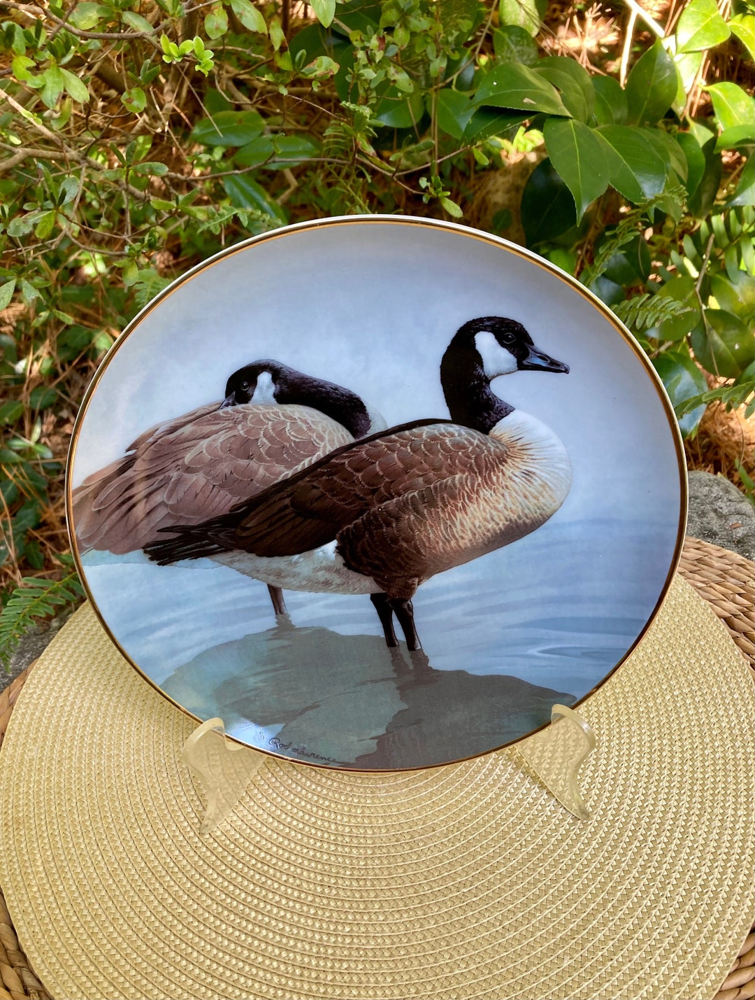 1988 American Waterbirds Collection Canada Geese Plate by Rod Lawrence ...