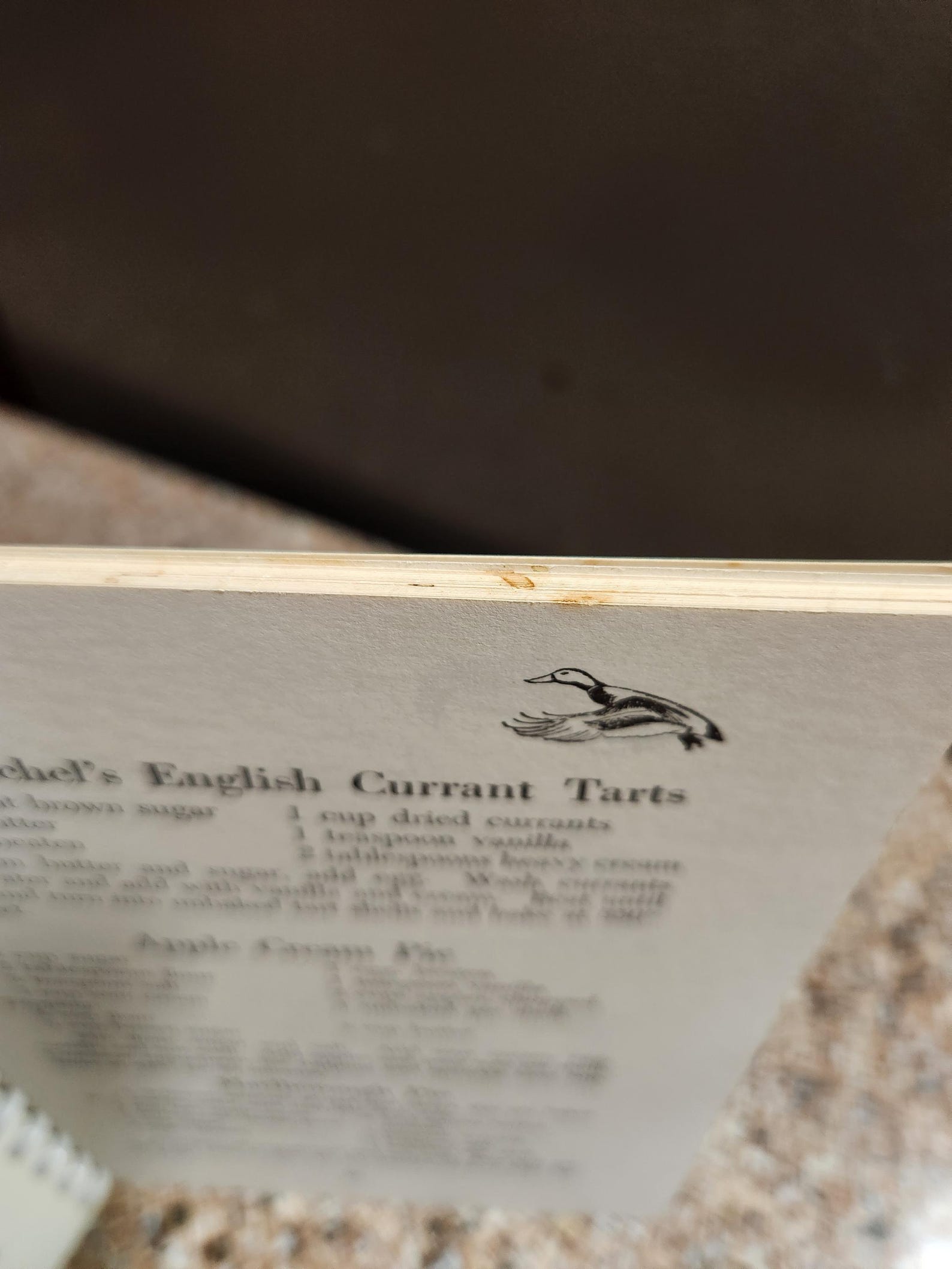 Cookbook - the Beaufort Cook Book, A Treasury of Carolina Recipes ...