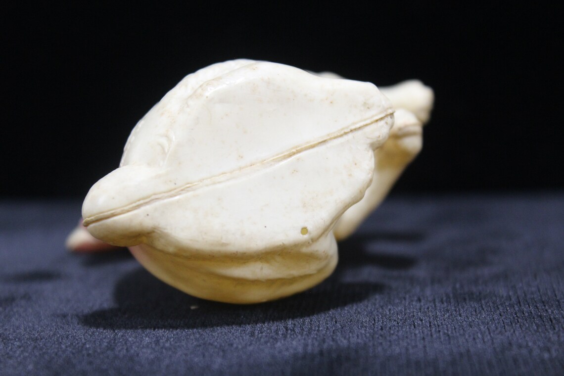 Celluloid Rabbit Rattle, Made in Japan, 1930's Diamond CC Mark, Antique ...