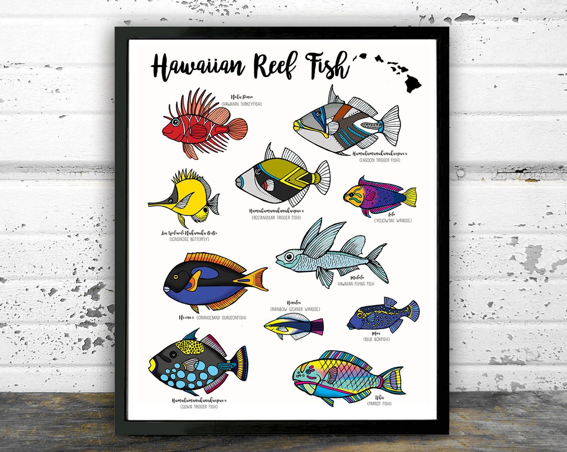 Hawaii Fish Print, Humuhumunukunukuapuaa, Hawaii Gift, Scuba Diving ...