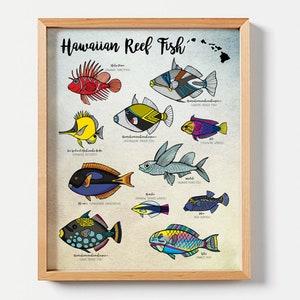 Hawaii Fish Print, Humuhumunukunukuapuaa, Hawaii Gift, Scuba Diving ...