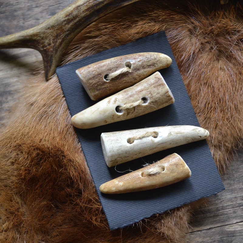 Antler Tip - Etsy