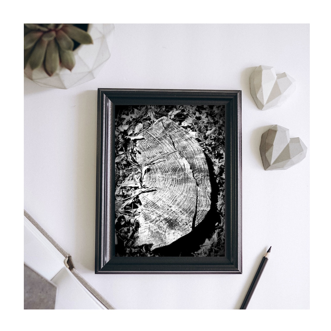 LETTER D | Alphabet Letter Photography | Custom Family Name Artwork ...