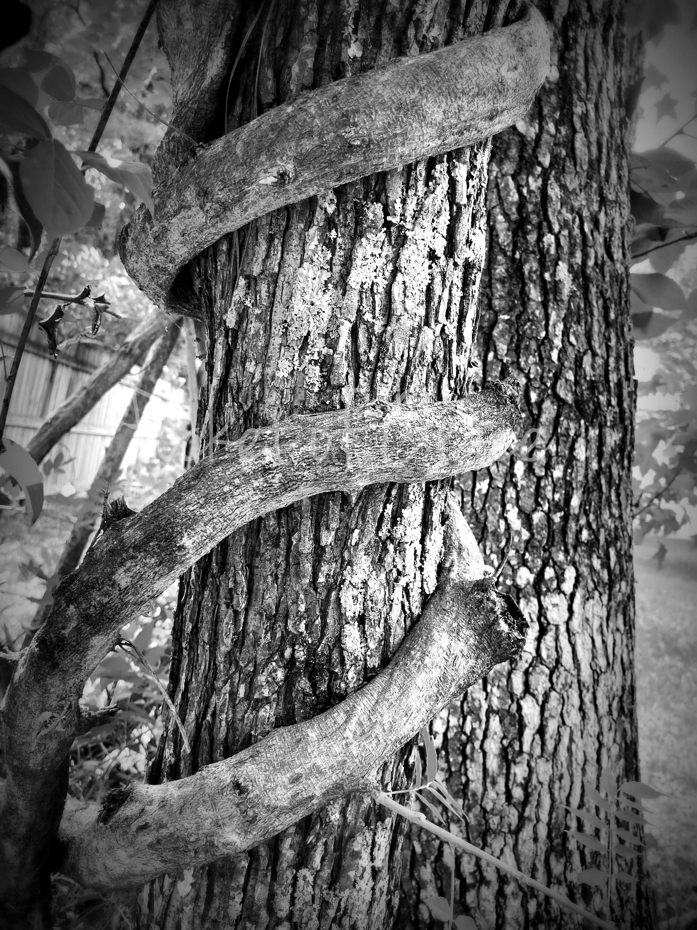 LETTER E | Alphabet Letter Photography | Custom Family Name Artwork ...