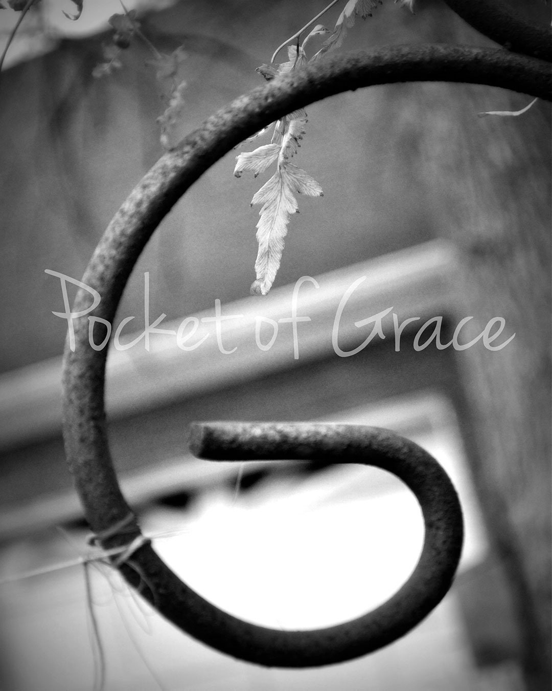 LETTER G Alphabet Letter Photography Custom Family Name - Etsy