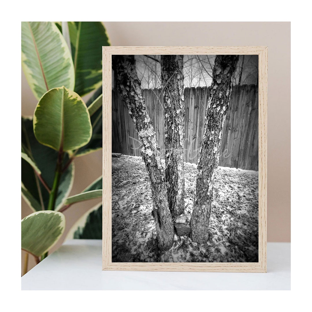 LETTER W | Alphabet Letter Photography | Custom Family Name Artwork ...