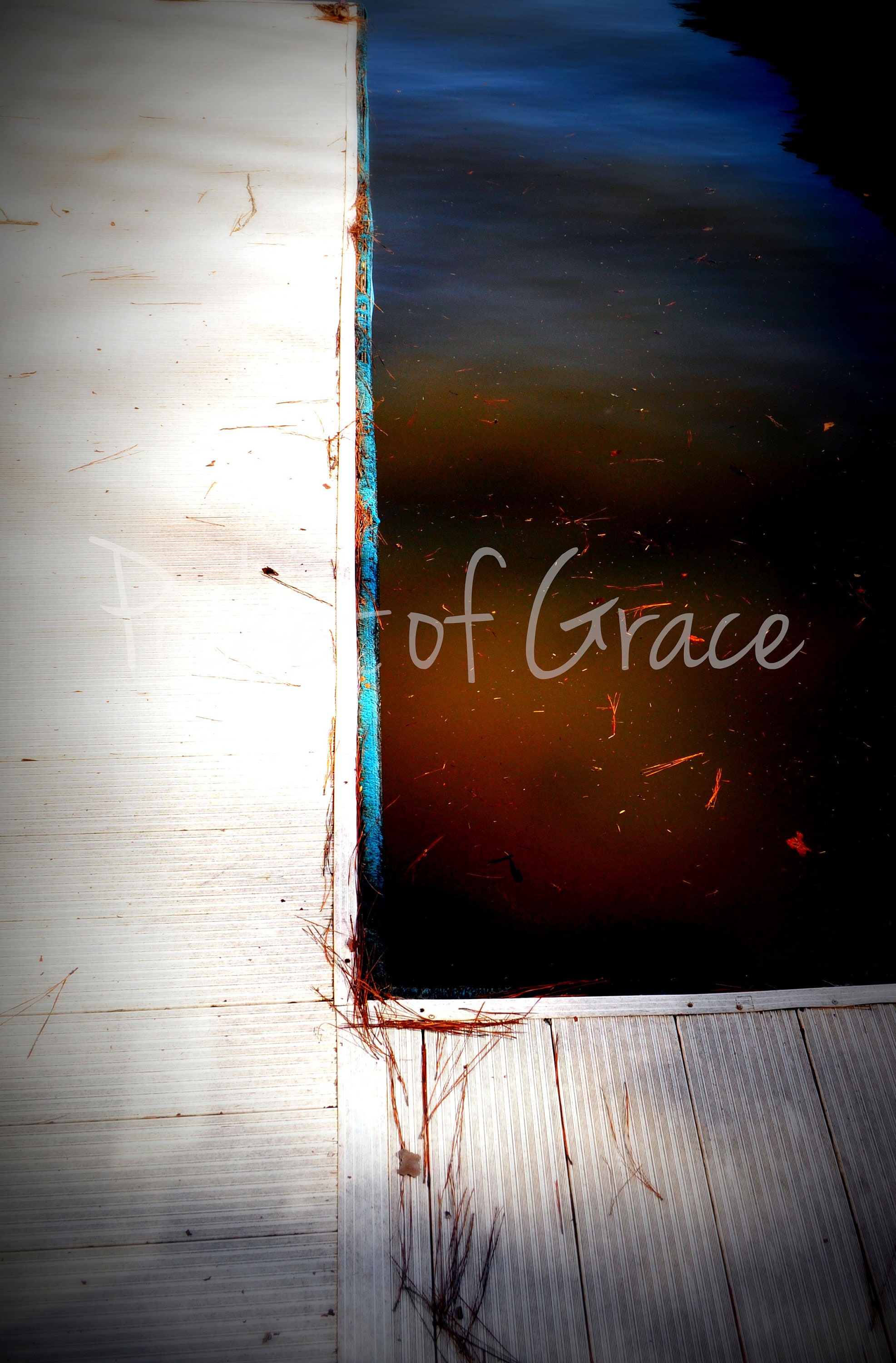 LETTER L Alphabet Letter Photography Custom Family Name - Etsy