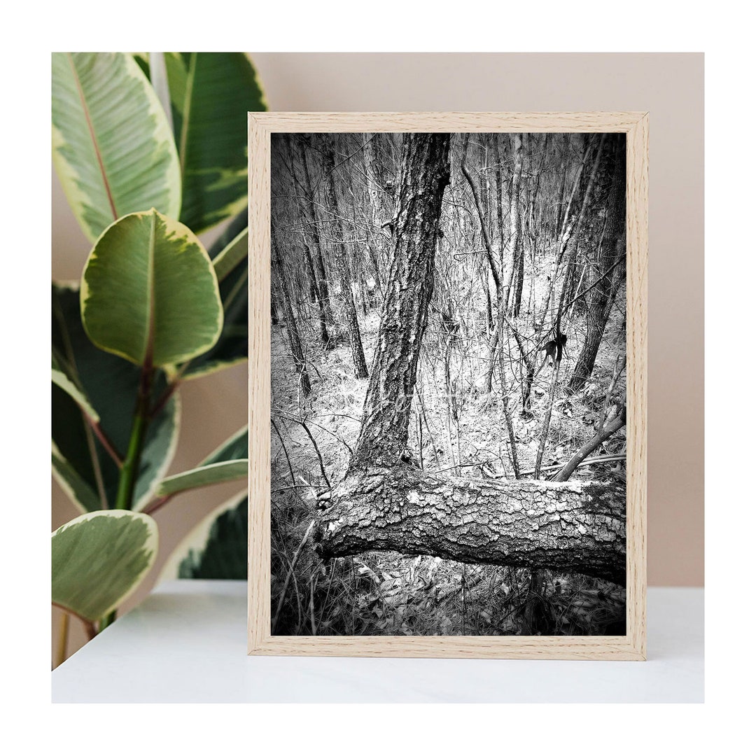 LETTER L | Alphabet Letter Photography | Custom Family Name Artwork ...