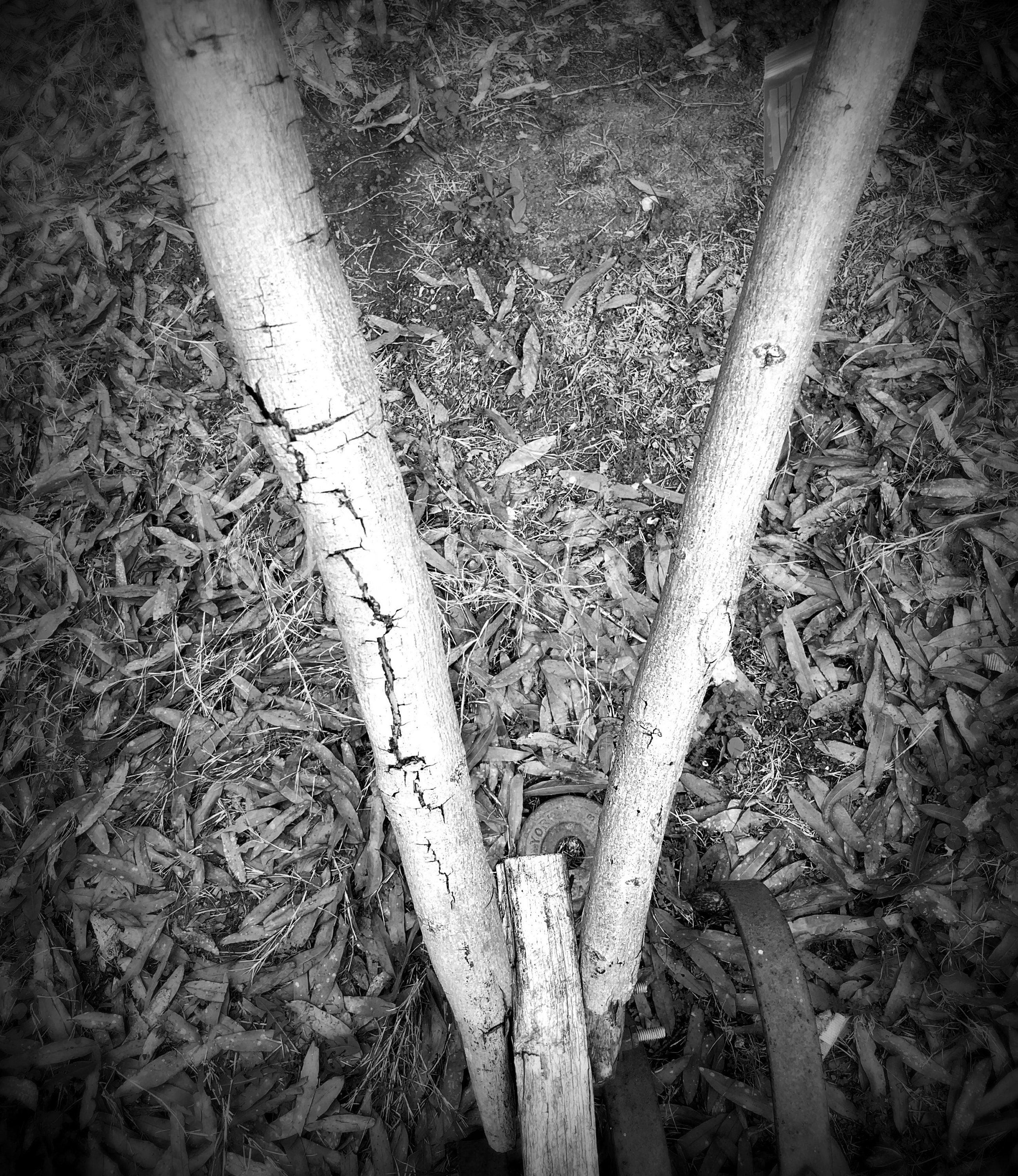 LETTER V Alphabet Letter Photography Custom Family Name - Etsy Australia