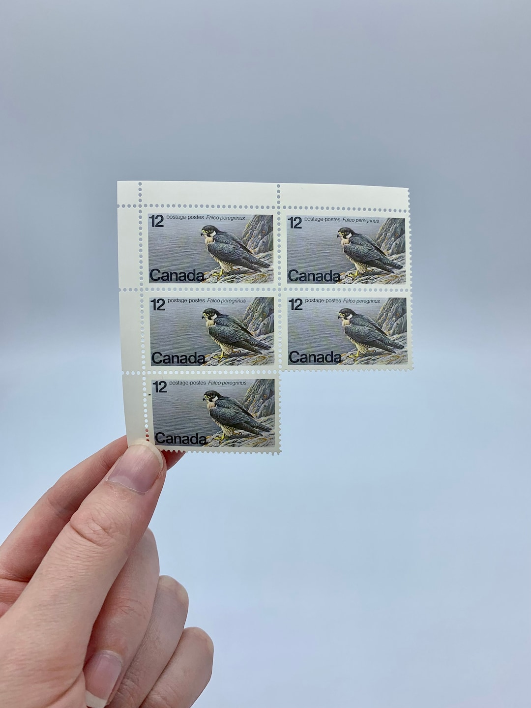 Falcon Canadian Stamp Set Falco Peregrinus 5 Functional Stamps ...
