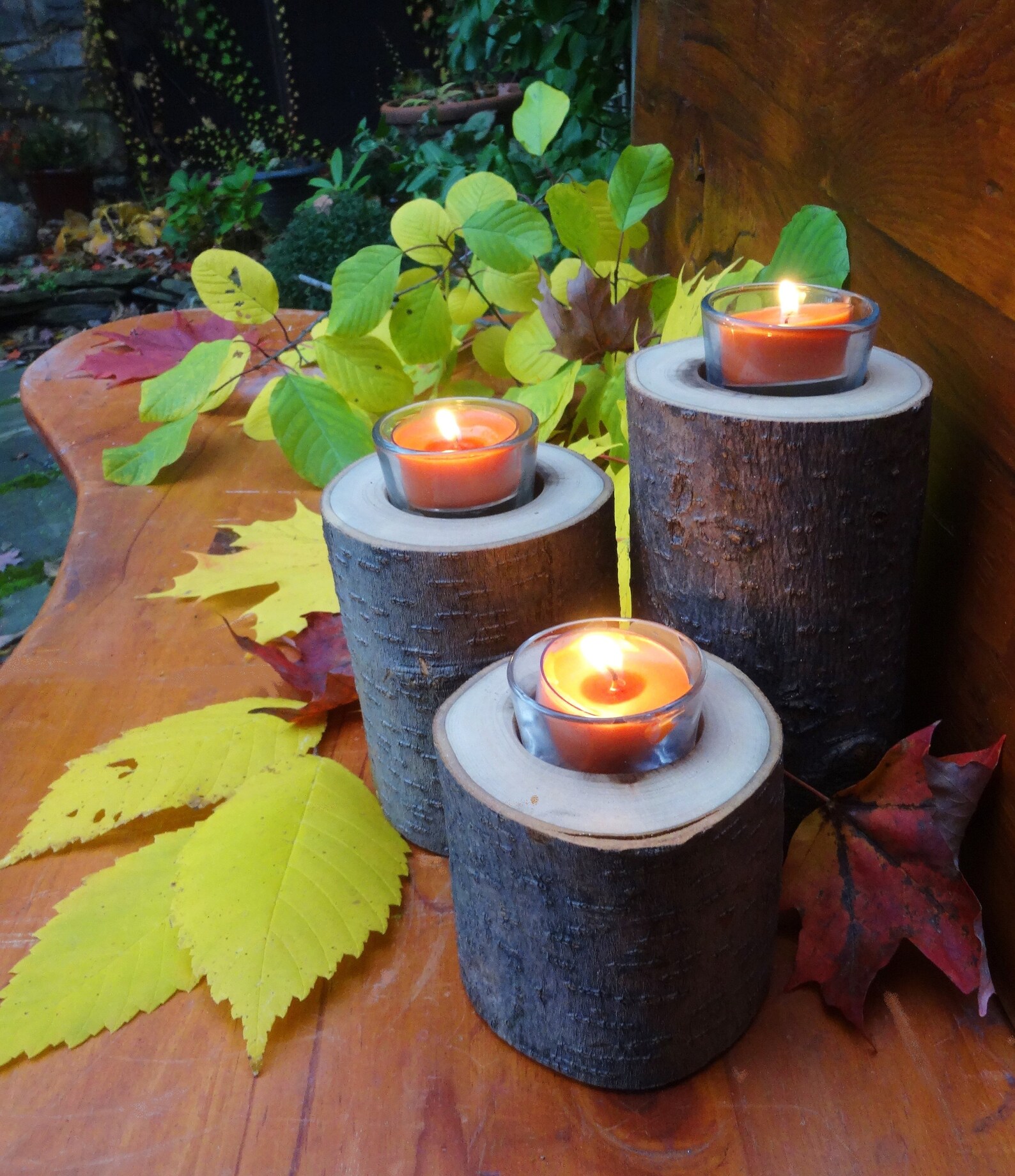 Set of Three Log Candle Holders All Natural Wood Votive - Etsy