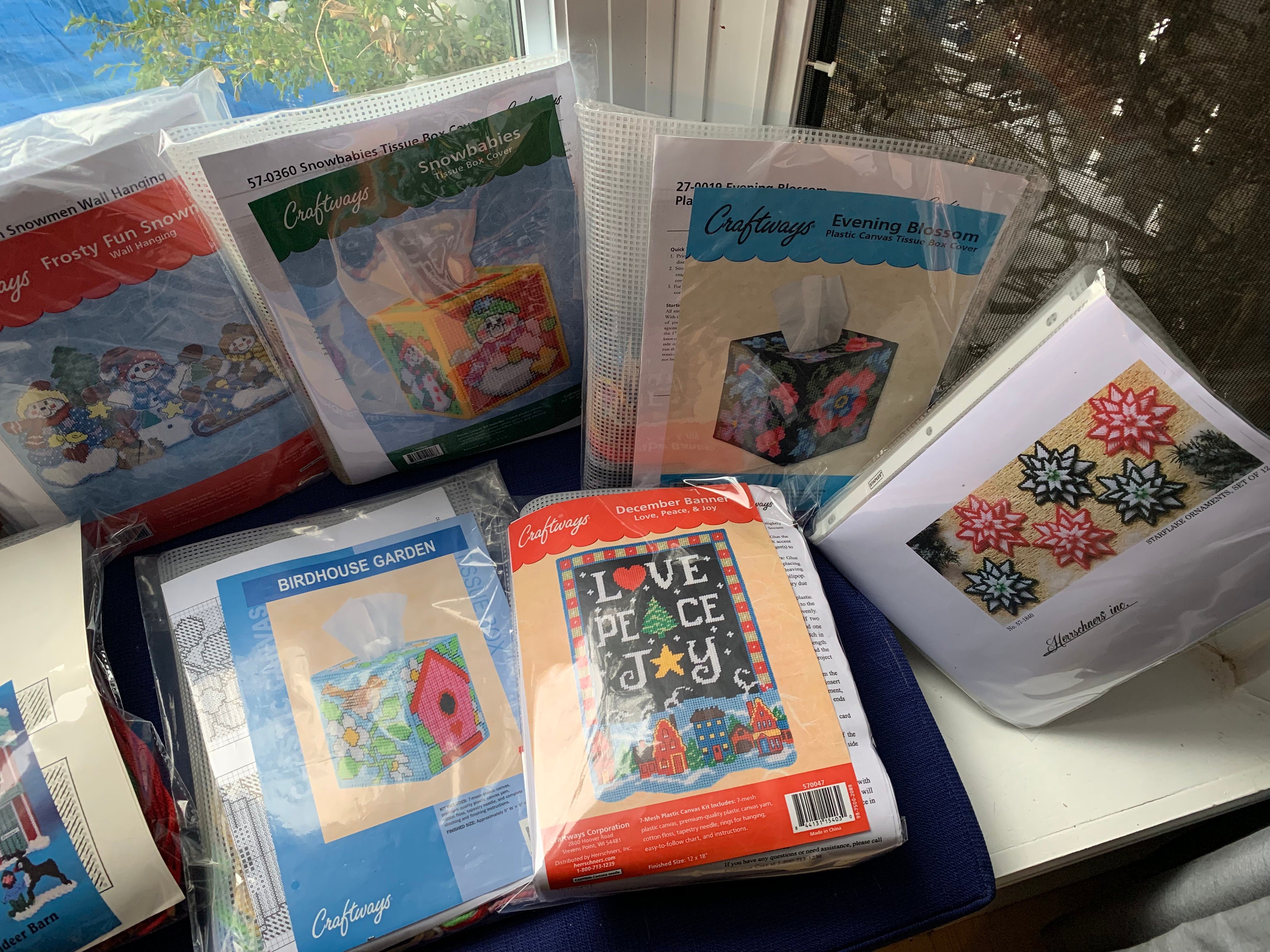 Craftways Plastic Canvas Kit bird House Garden Tissue - Etsy