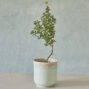 Turquoise Ceramic Planter, Indoor Planter, Modern Plant Holder, Pottery ...